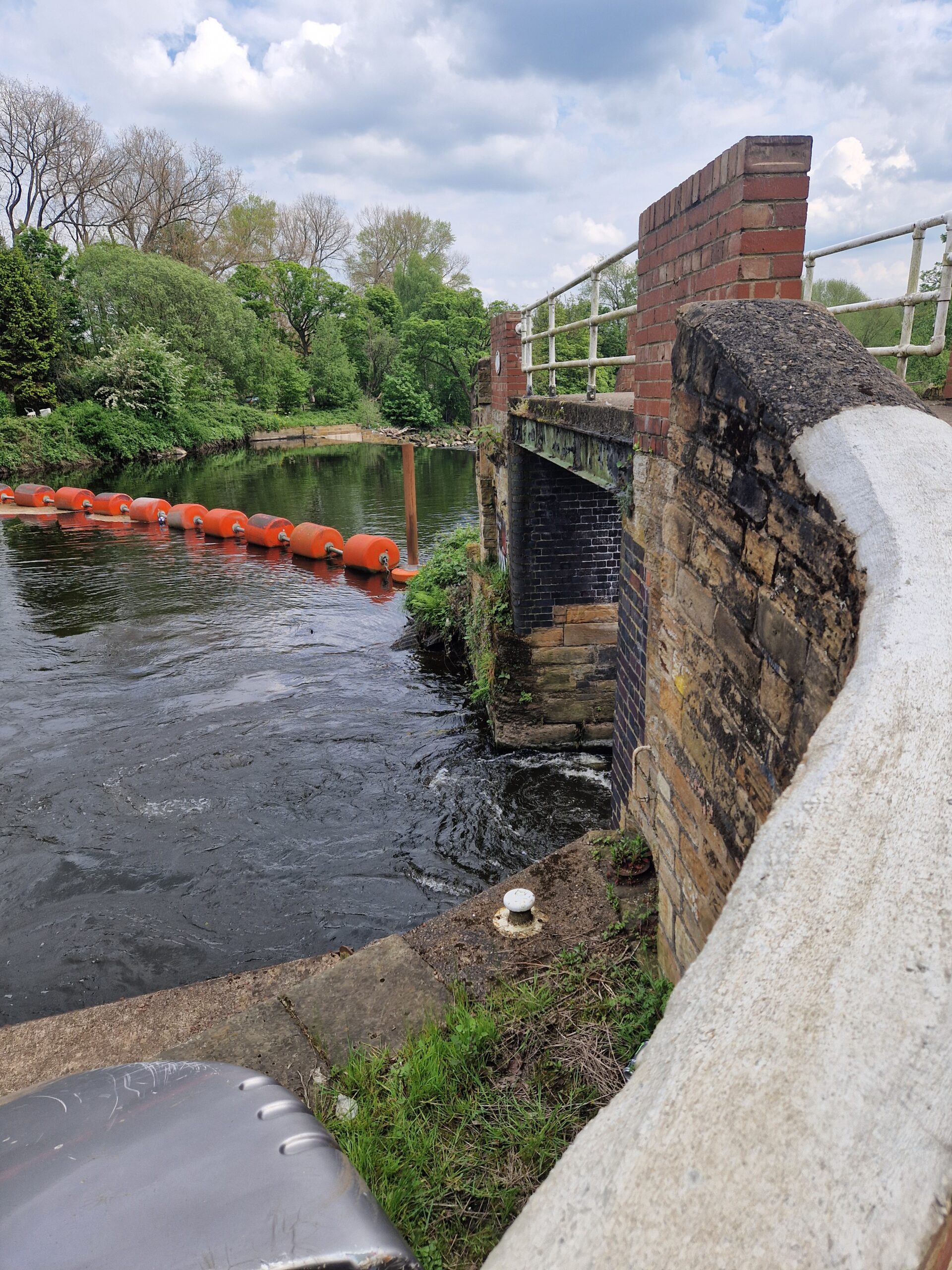 Gallery - Daisy Duke's Journal